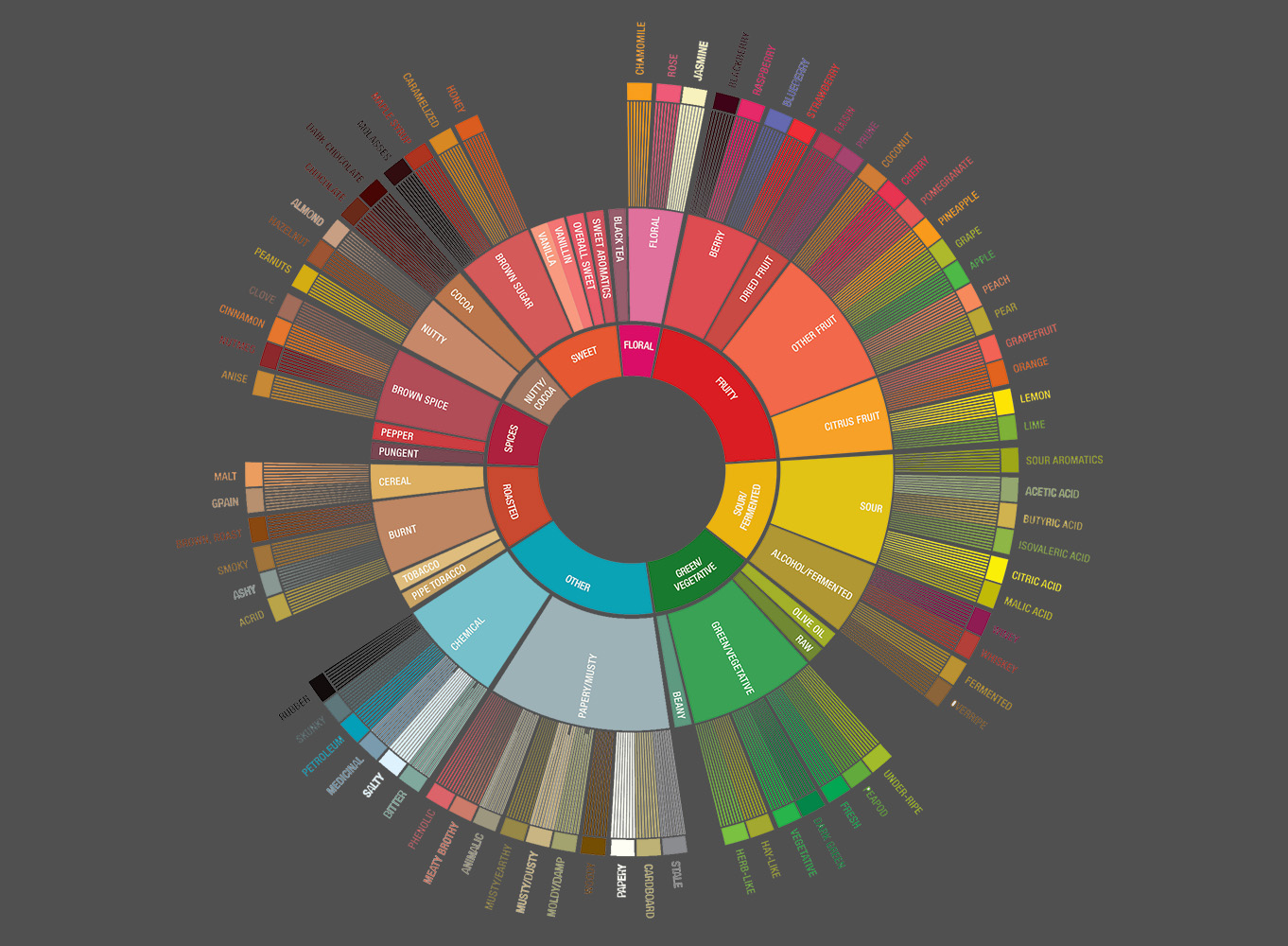 Thermoplan AG : Robusta coffee - what makes this popular bean so special?